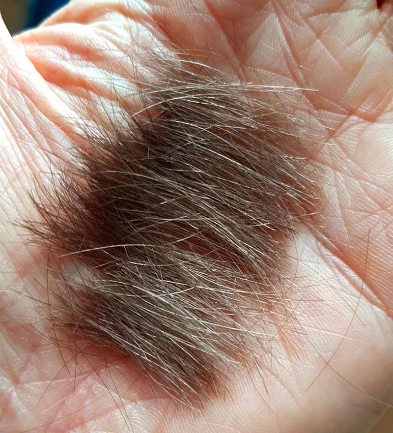 HTMA Sample Instructions - Mother of the Woods