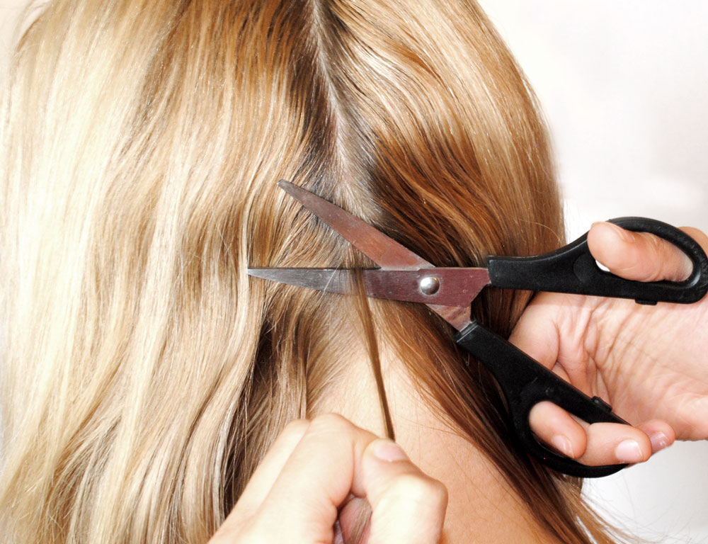 HTMA Sample Instructions - Mother of the Woods